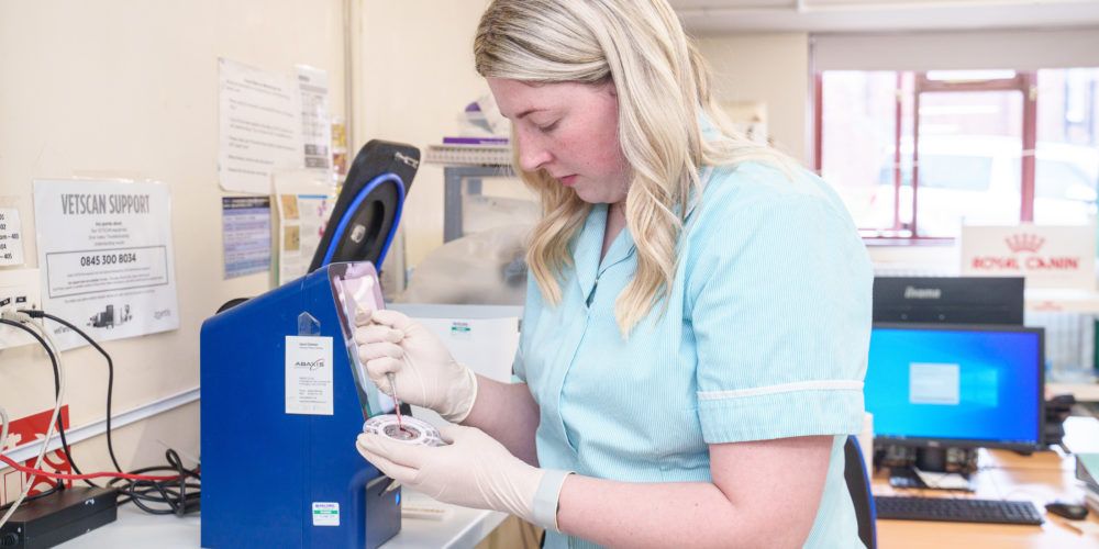 Charter Vets - Newcastle-under-Lyme | Passionate About Pets